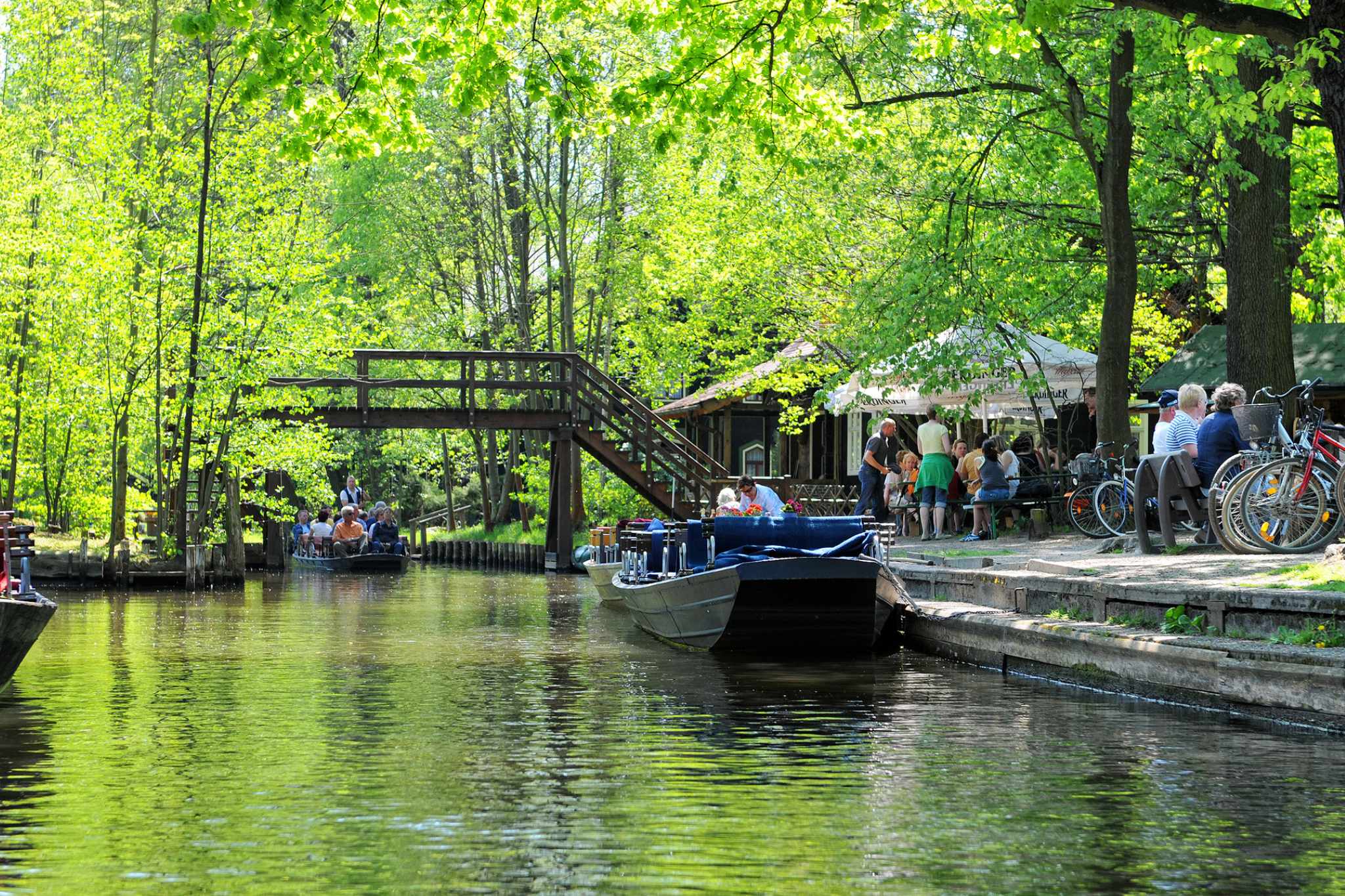 Camping im Spreewald: Entdecke das grüne Paradies 🌿