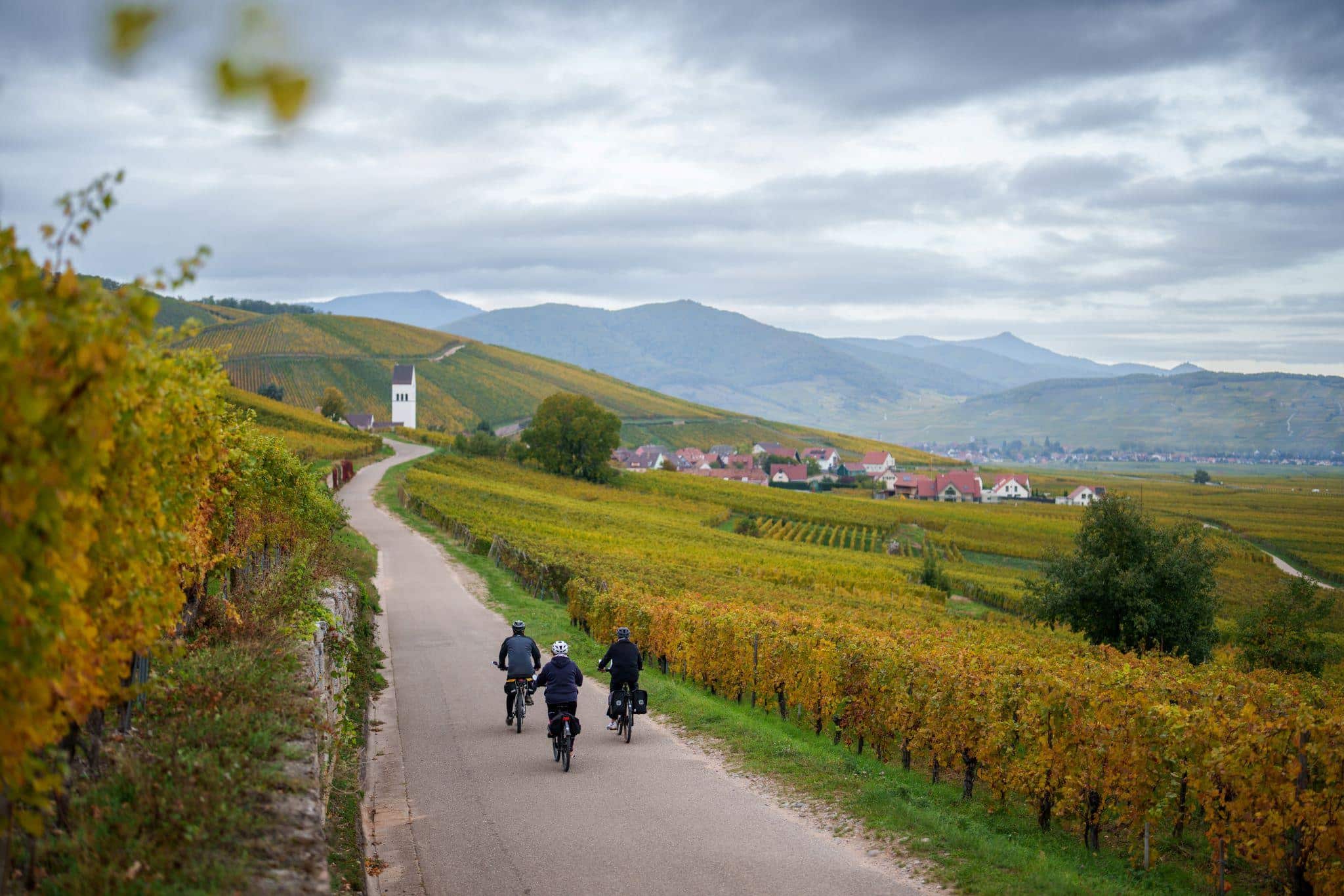 Camping im Elsass: Die besten Campingplätze + Insider-Tipps